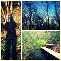 Ravenna Park - Seattle, WA