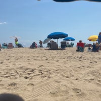 Poodle Beach - Rehoboth Beach, DE