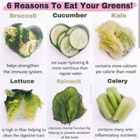 City Pool Hall - Pool Hall in Chicago