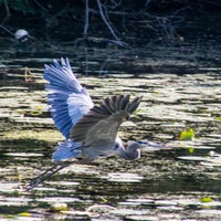 Milne Dam Conservation Park - Park