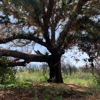 Paramount Ranch - 8 tips from 1119 visitors