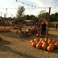 Hall Pumpkin Farm - 13 tips