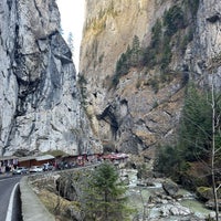 Photos at Cheile Bicazului - Other Great Outdoors in Bicaz-Chei