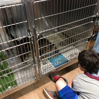 Hamilton SPCA - Hamilton, ON