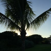 Loggerhead Park - 4 tips