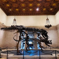 Natural History Museum of Los Angeles County - Museum in Los Angeles