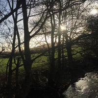 Gigrin Farm Red Kite Feeding Station - Farm
