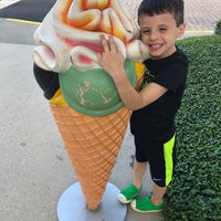 Delectable Delights - Ice Cream Shop in Lutz