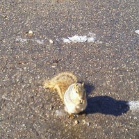 Scidmore Park & Petting Zoo - Park in Three Rivers