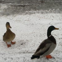 Scidmore Park & Petting Zoo - Park in Three Rivers