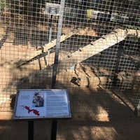 Exotic Feline Breeding Compound's Feline Conservation Center - 3718 ...