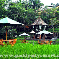 Paddy City Resort - 18 tips