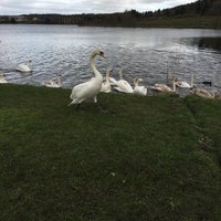 Broadwood loch - Lake