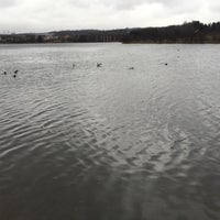 Broadwood loch - Lake