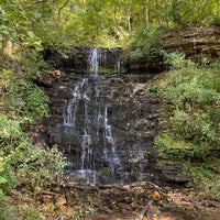 Cove Spring Park - Park