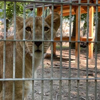 Nyíregyházi Állatpark - Sóstó Zoo - Zoo in Nyíregyháza