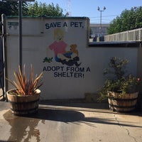 OCAC-Orange County Animal Care - 5 tips from 707 visitors