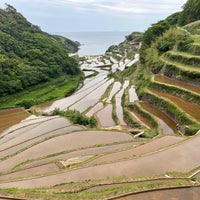 浜野浦の棚田 - Farm