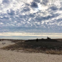 Dowses Beach - 8 tips from 504 visitors