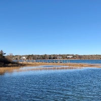 Dowses Beach - 8 tips from 504 visitors