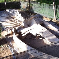 Bukit joko tuo - 1 tip from 78 visitors