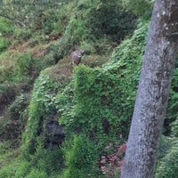 Herring Run Park - Mayfield - Montebello - Baltimore, MD