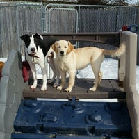 Canines Unleashed - Liverpool, NY