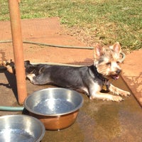 Mililani Dog Park - Mililani Town, HI