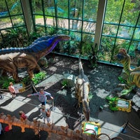 Mississippi Museum of Natural Science - Science Museum