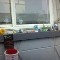 Java Cat - Madison, WI