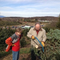 Battenfeld's Christmas Tree Farm - Rhinebeck, NY