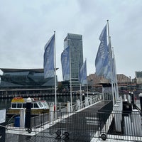 Darling Quarter - Plaza in Darling Harbour