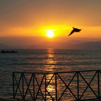 Dapia - Resort in Σπέτσες