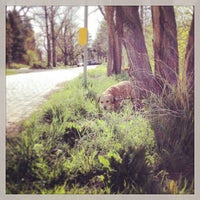 Mapleton Hill - Central Boulder - Boulder, CO