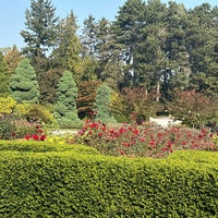 Woodland Park Rose Garden - Garden in Seattle