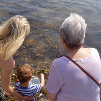 Charlottenlund Strand - 3 tips