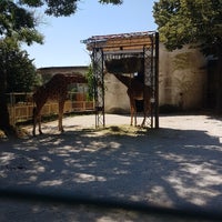 Zoo di Pistoia - Pistoia, Toscana