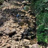 Makiki - Honolulu, HI