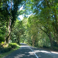 Five Mile Drive - Hiking Trail in Ruston