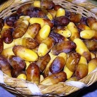 Tamanrasset