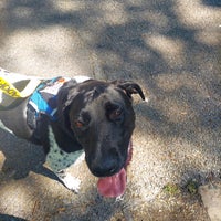 Kansas Humane Society - Animal Shelter