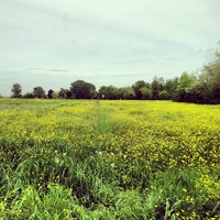 Bagnolo in Piano - City