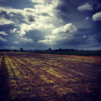 Bagnolo in Piano - City