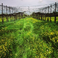 Bagnolo in Piano - City