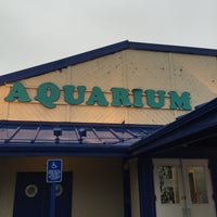 Portland Aquarium - 18 tips from 567 visitors