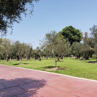 Bosque El Olivar - Park in San Isidro