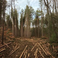 Riley Trails - Trail