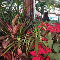 Vivero Mario - Palermo Viejo - Av. Raúl Scalabrini Ortíz 1240