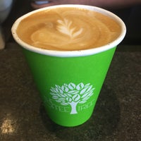 The Coffee Tree - 8 tips from 84 visitors