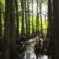 Wheeler National Wildlife Refuge - Decatur, AL